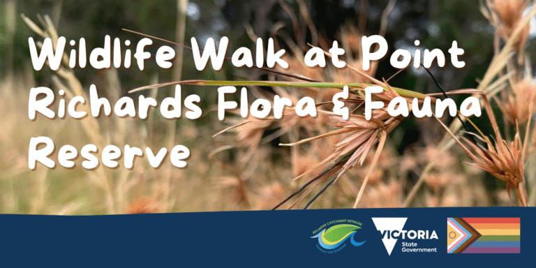 Wildlife Walk at Point Richards Flora and Fauna Reserve - BCN ...